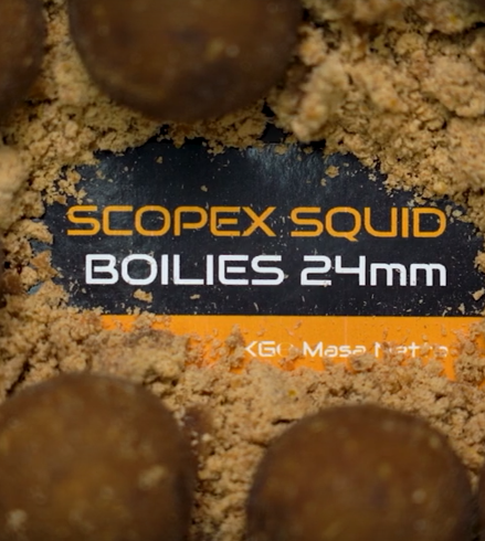 SCOPEX SQUID BOILIES 24MM 1KG - Wild Carp Fishing